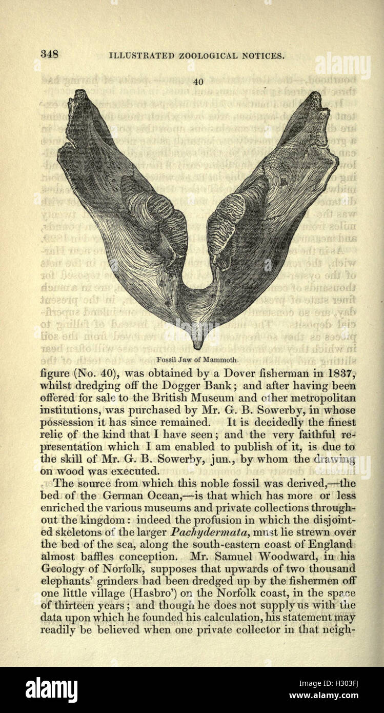 This magazine covers a wide range of natural history topics, including ...