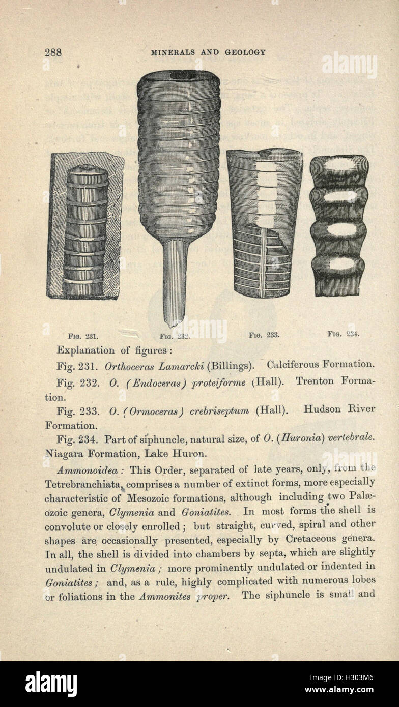 'The Minerals and Geology of Central Canada' provides a comprehensive ...