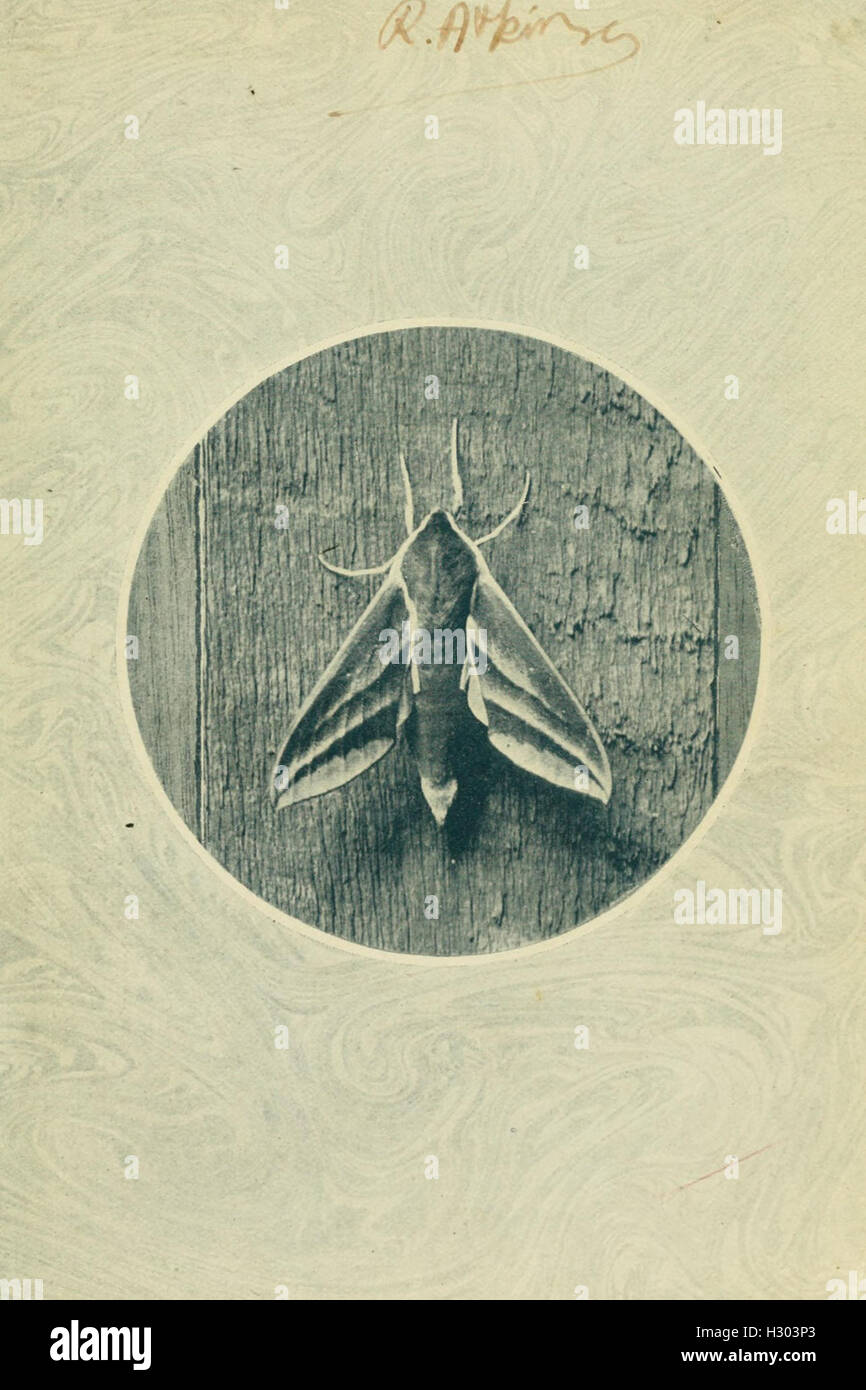 This guide provides detailed information on the various moth species ...