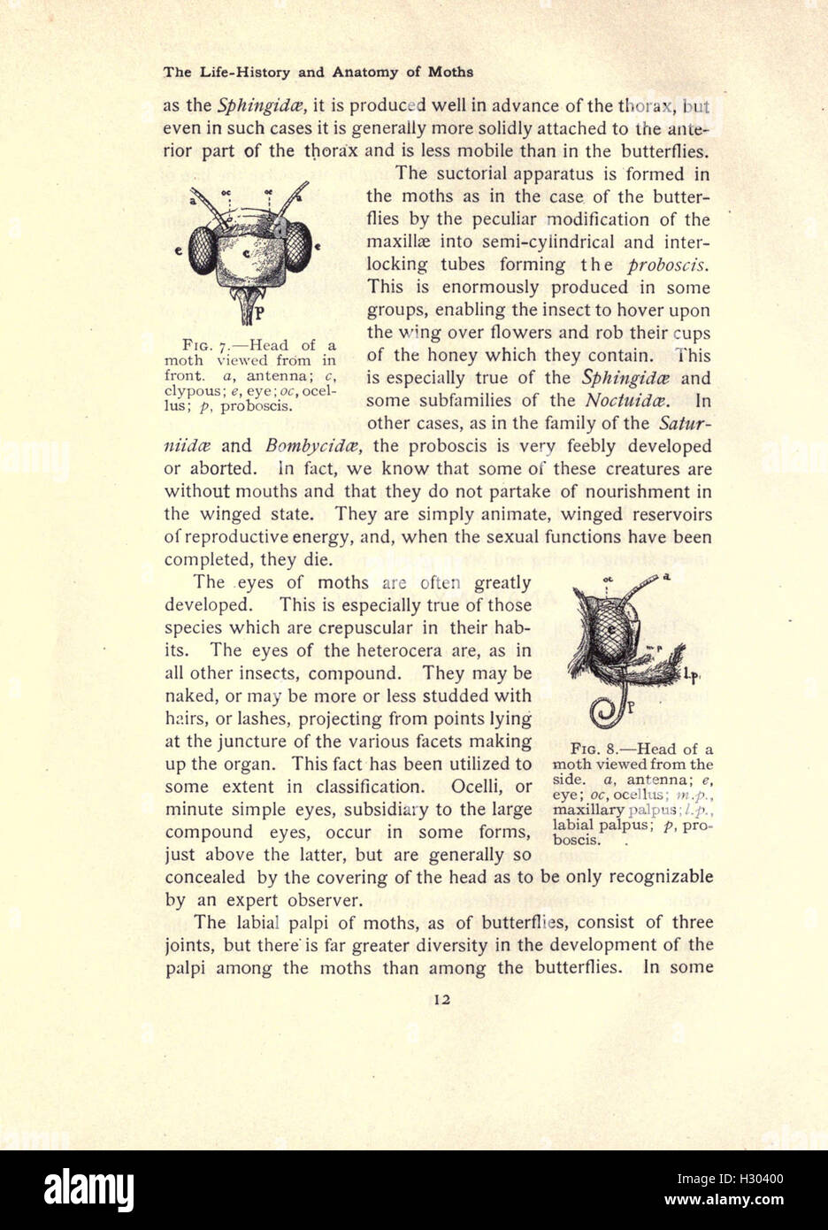This page showcases detailed illustrations of various moth species ...