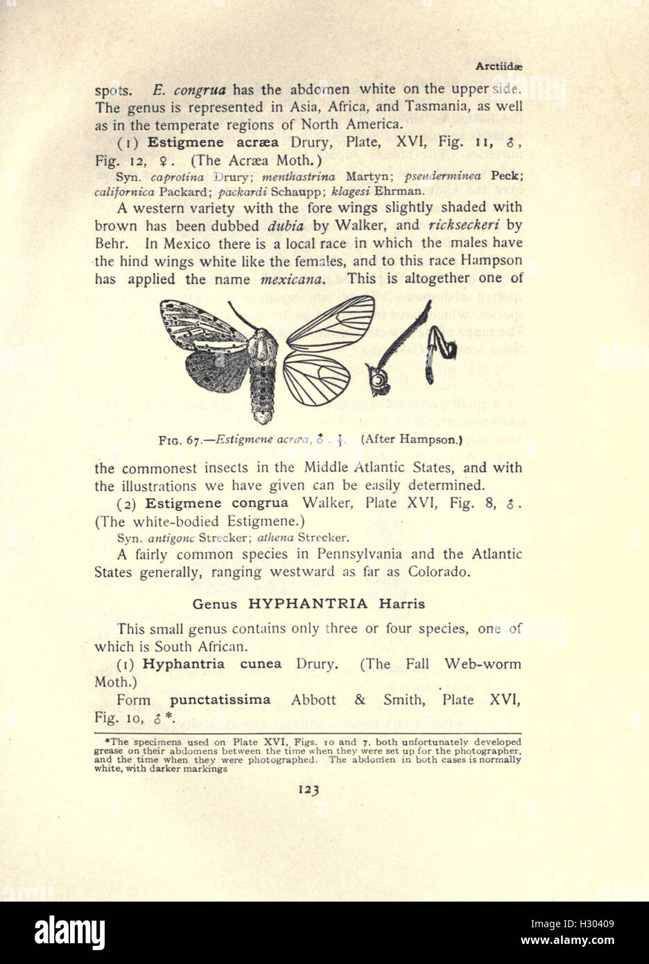 This page from 'The Moth Book' displays an illustration of a moth ...