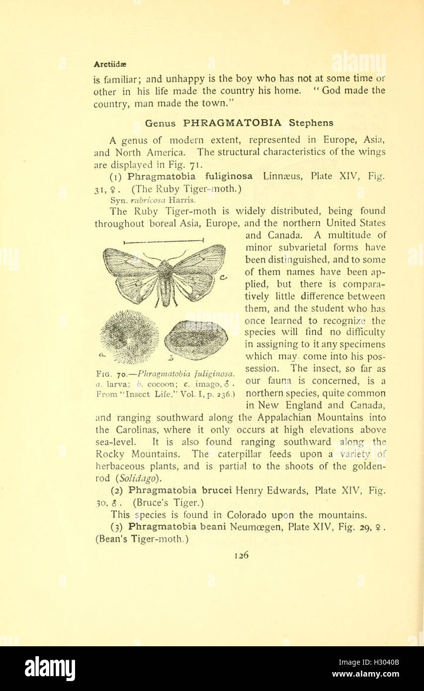 This section of 'The Moth Book' provides an in-depth look at various ...