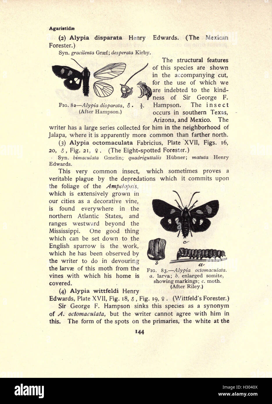 A comprehensive guide to moth species, including detailed illustrations ...