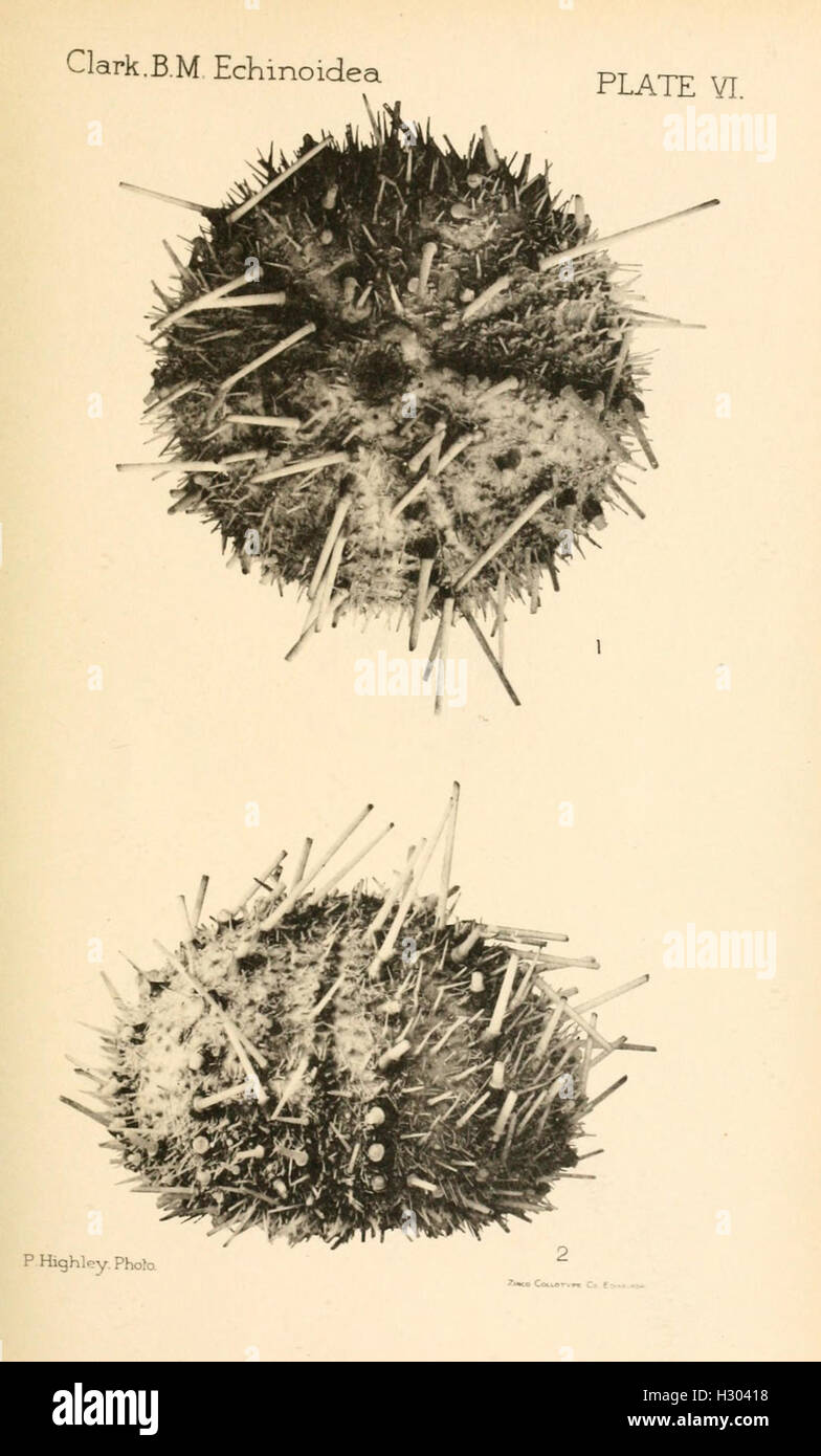 This catalogue provides detailed descriptions and classifications of ...