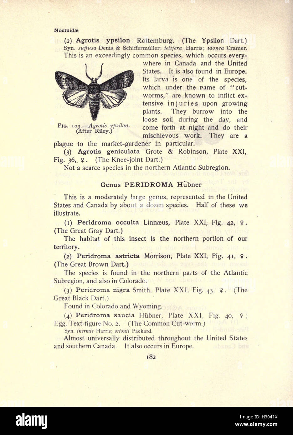 This portion of the moth book provides detailed illustrations and ...