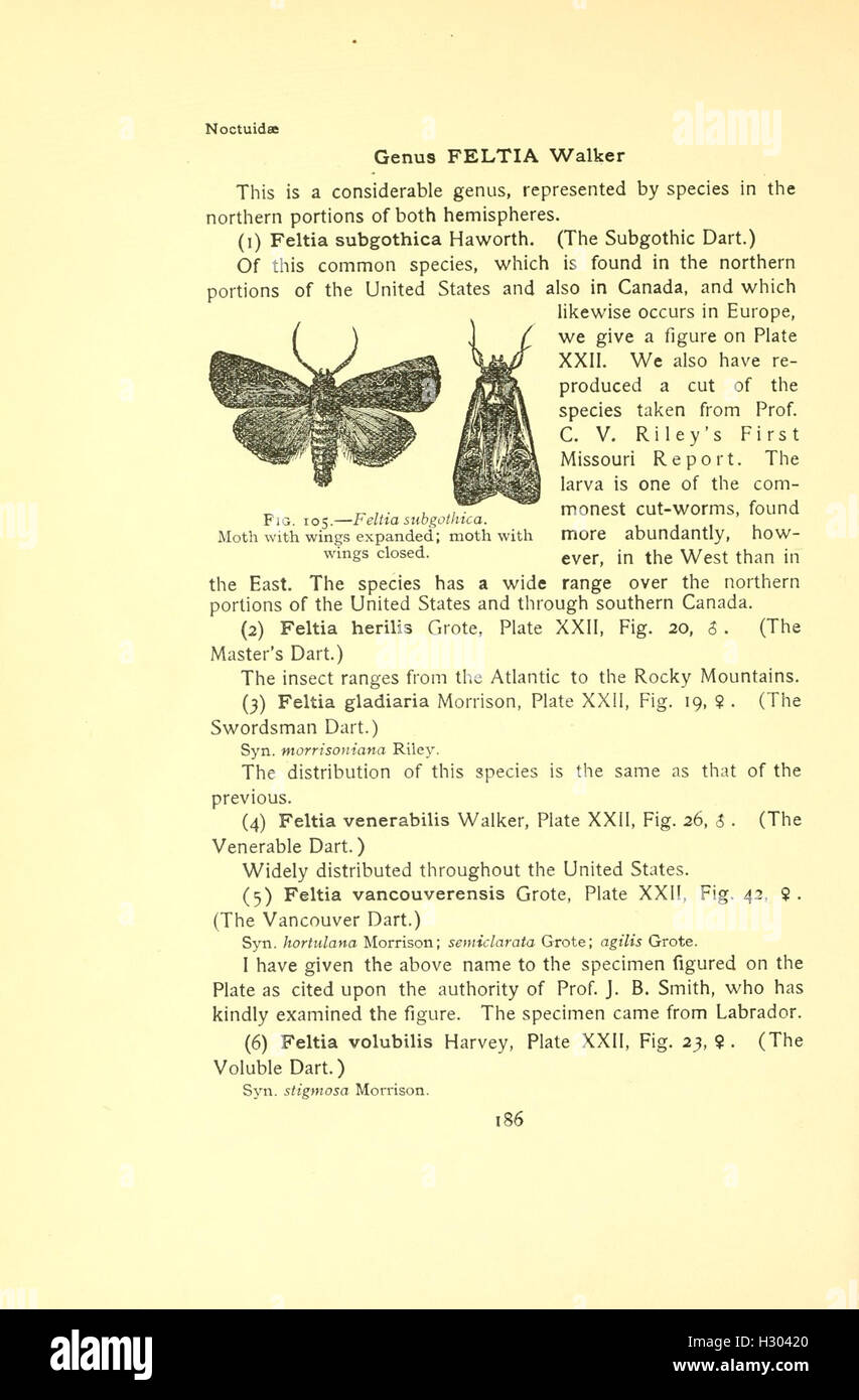 This book focuses on the identification and classification of moth ...