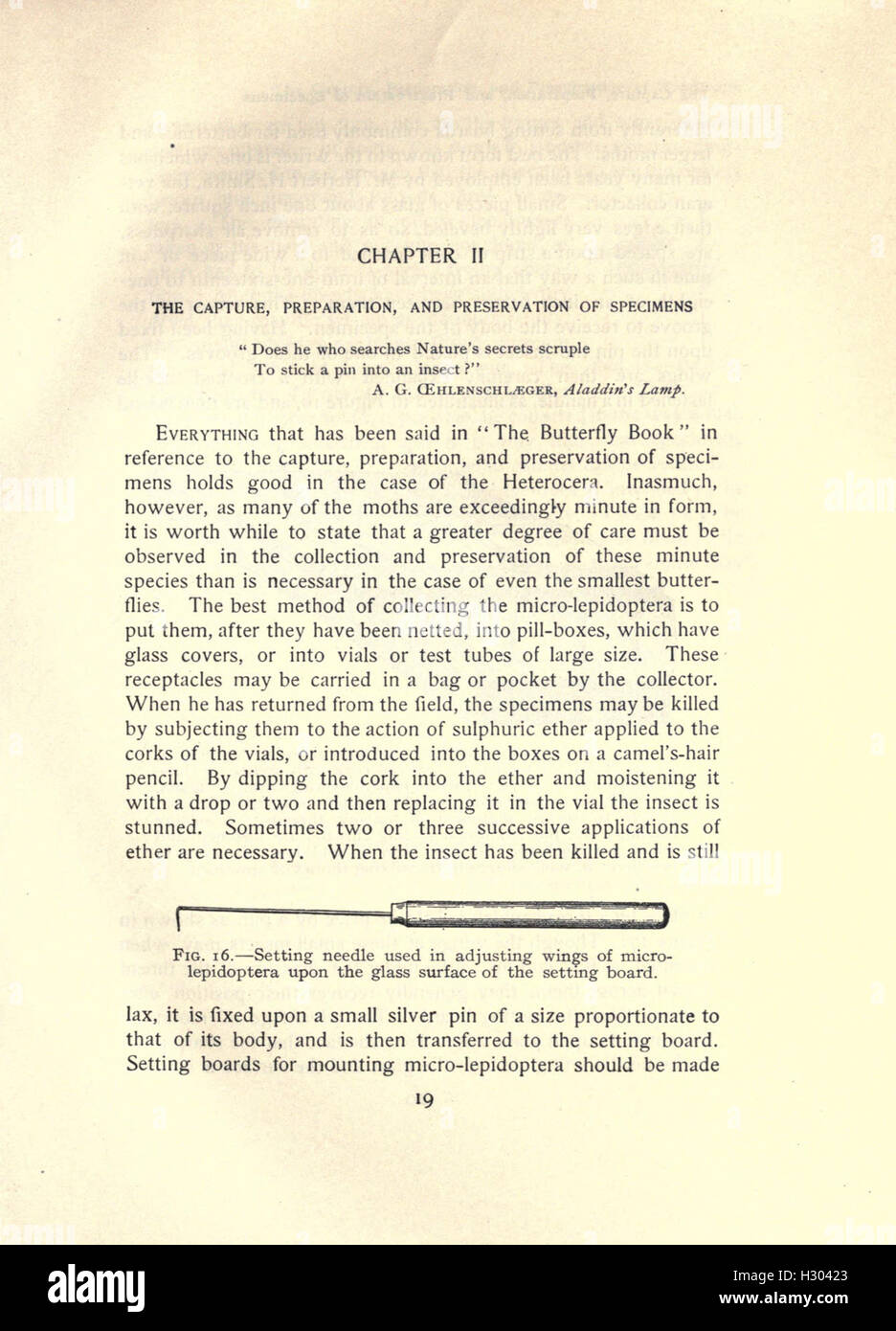 Figure 16 on page 19 of 'The Moth Book' depicts the detailed anatomy of ...