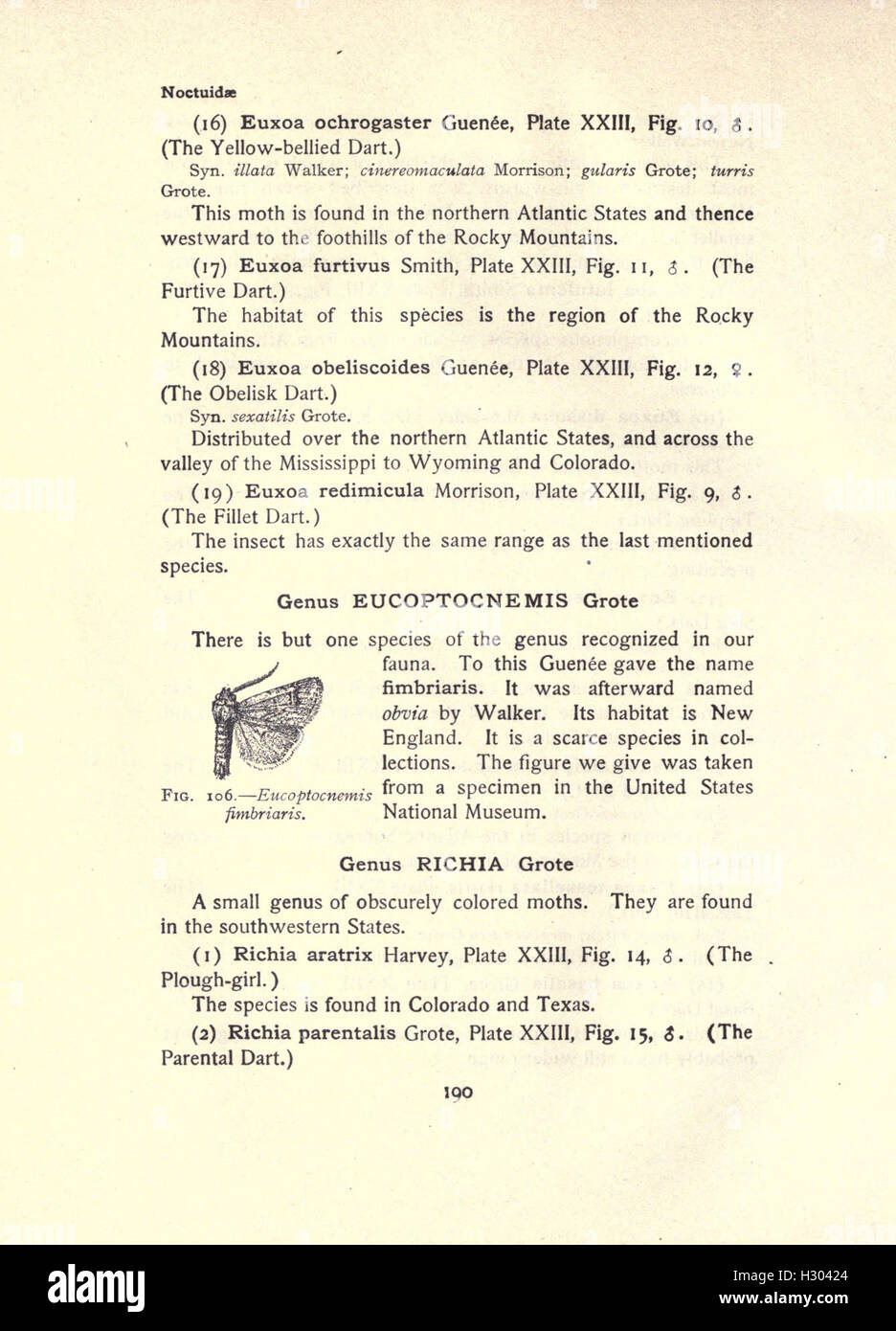 The moth book (Page 190, Fig. 106) BHL218 Stock Photo - Alamy