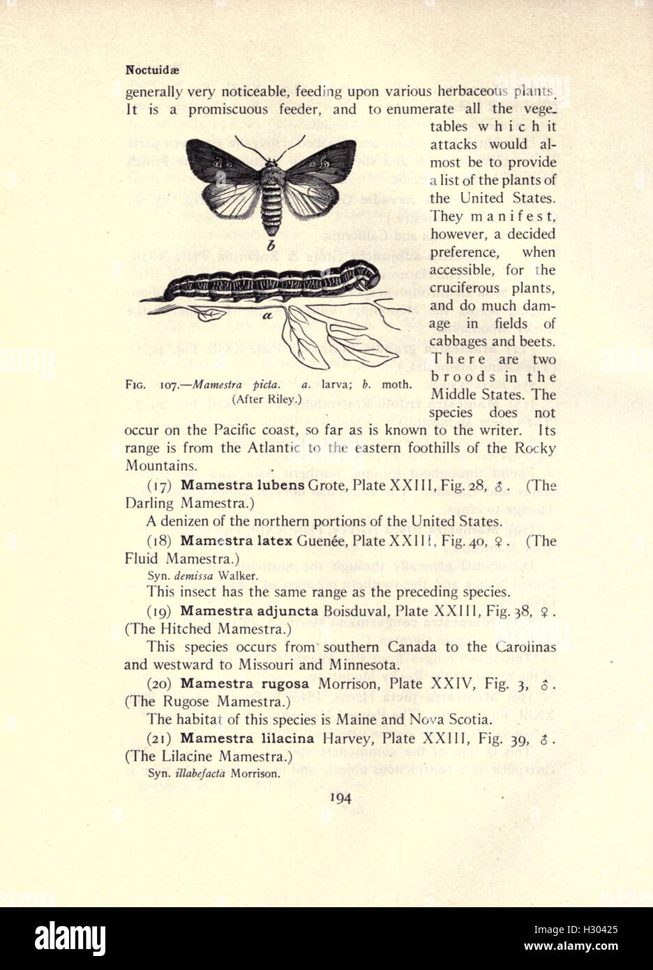 This section of 'The Moth Book' provides detailed images and ...