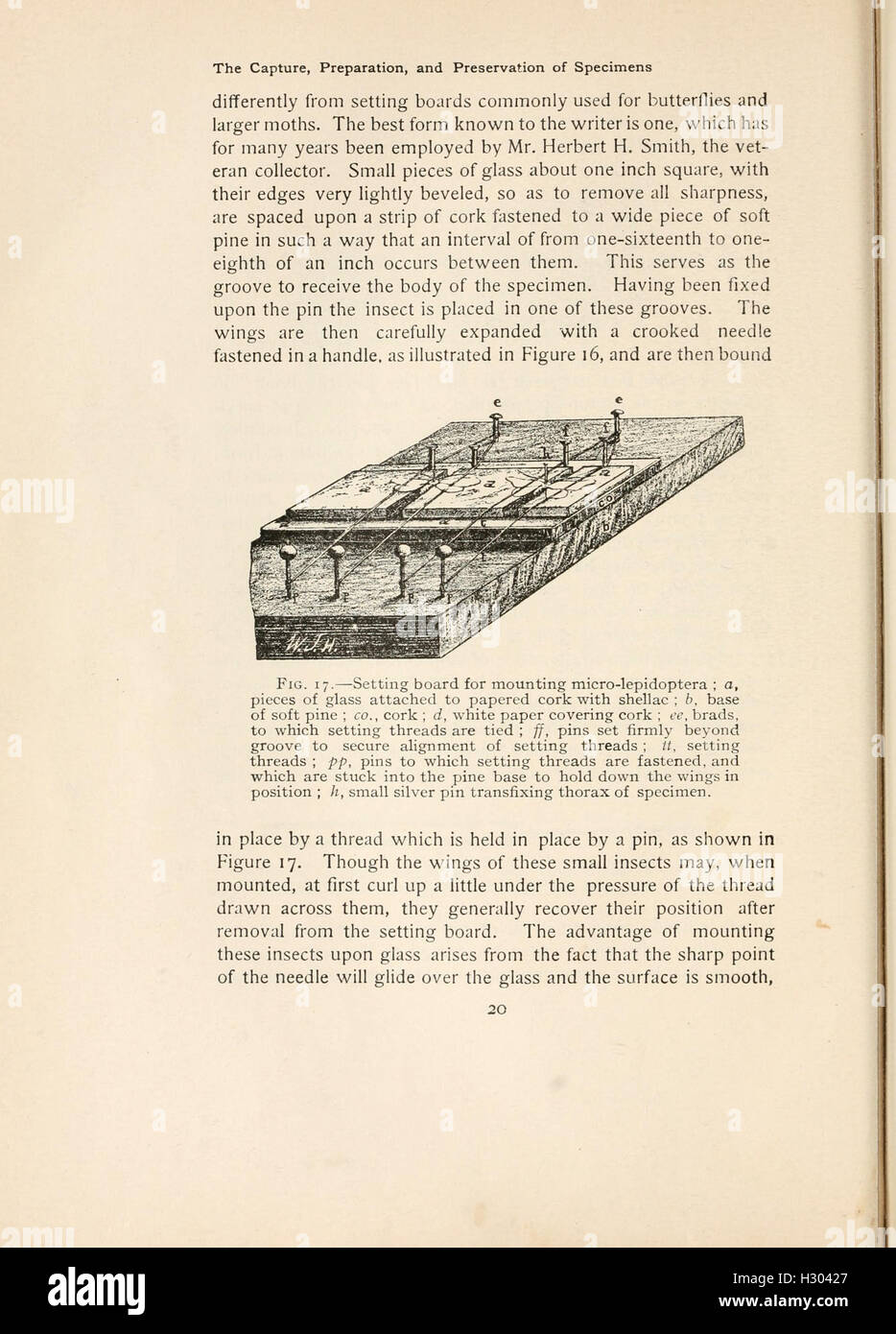 This book is a detailed guide on moths, covering their identification ...