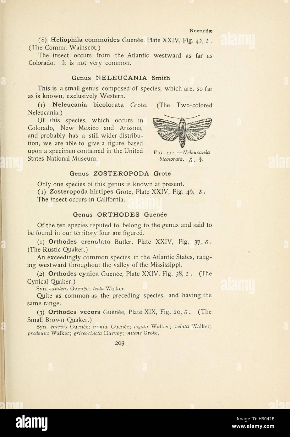 This page from 'The Moth Book' discusses various species of moths ...