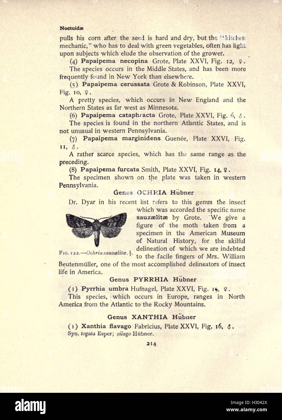 'The Moth Book' provides comprehensive details on various moth species ...