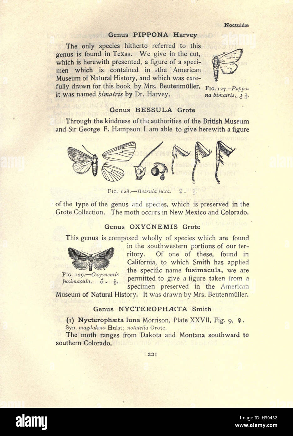 This work discusses various moth species, featuring detailed ...