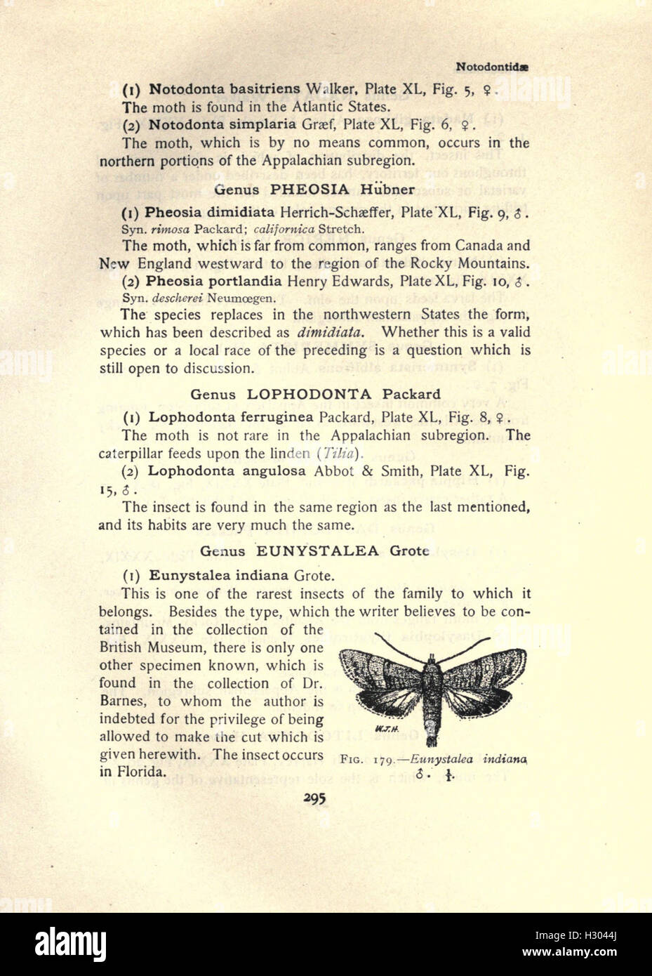 An illustrated guide to moth species, focusing on their identification ...