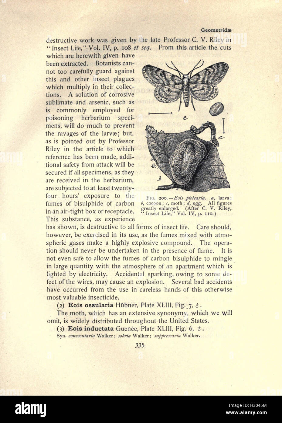 This section of 'The Moth Book' provides a detailed description and ...