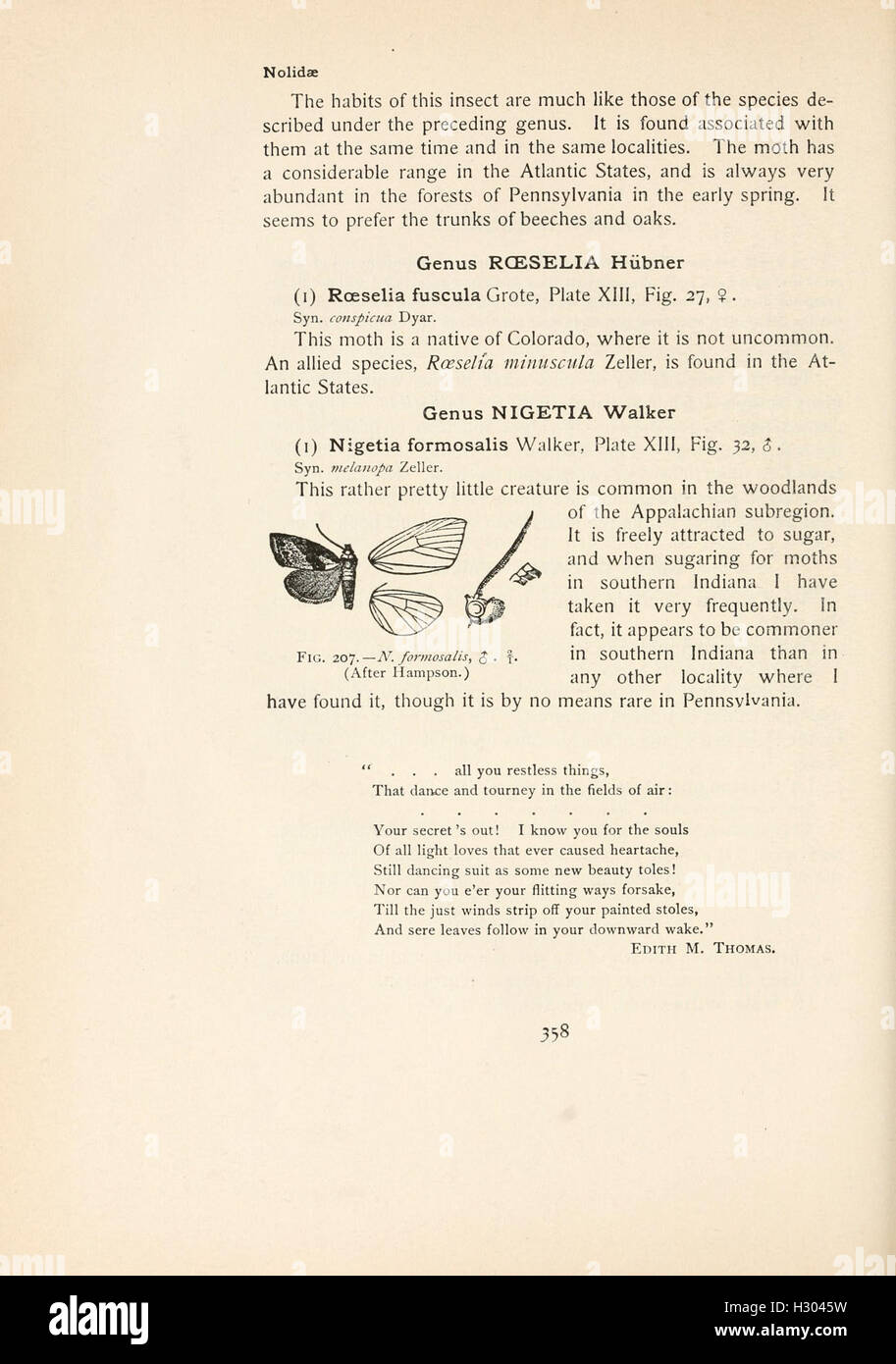 A reference guide on moth species, offering detailed descriptions and ...