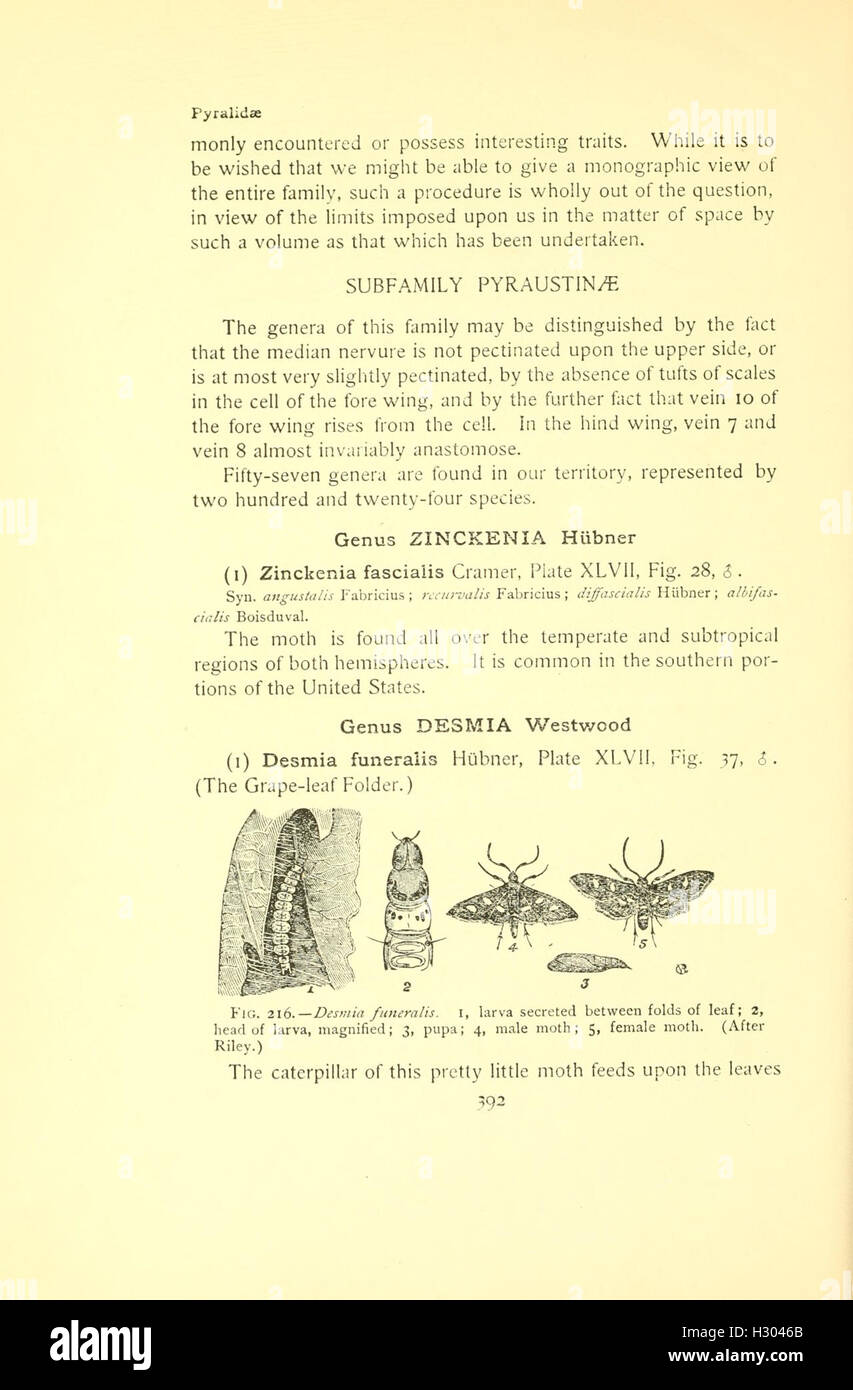 This book provides a detailed guide to the identification and study of ...