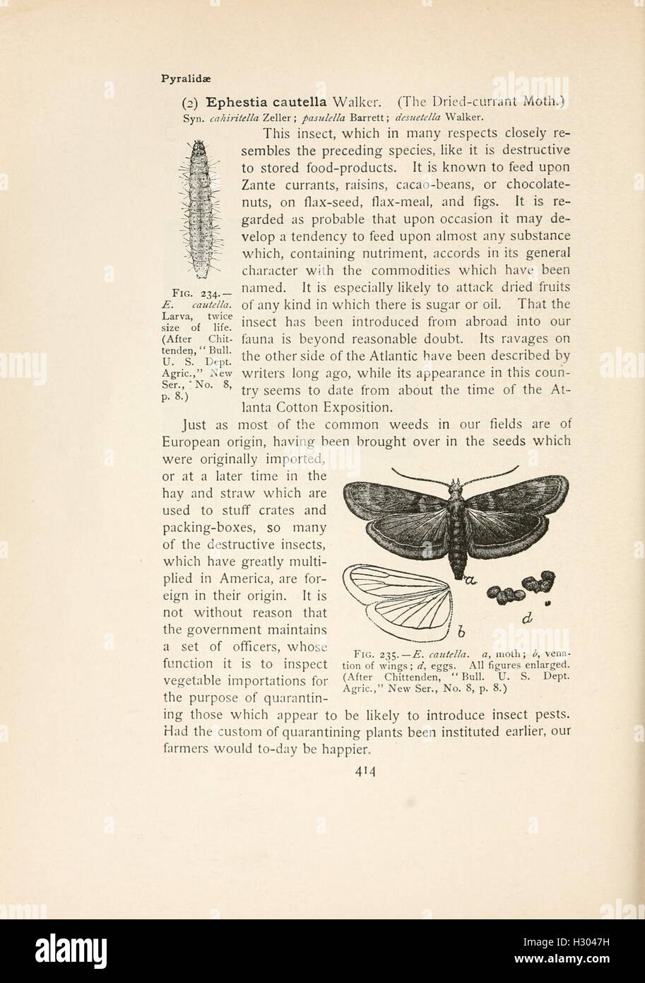 'The Moth Book' provides a comprehensive guide to identifying moth ...