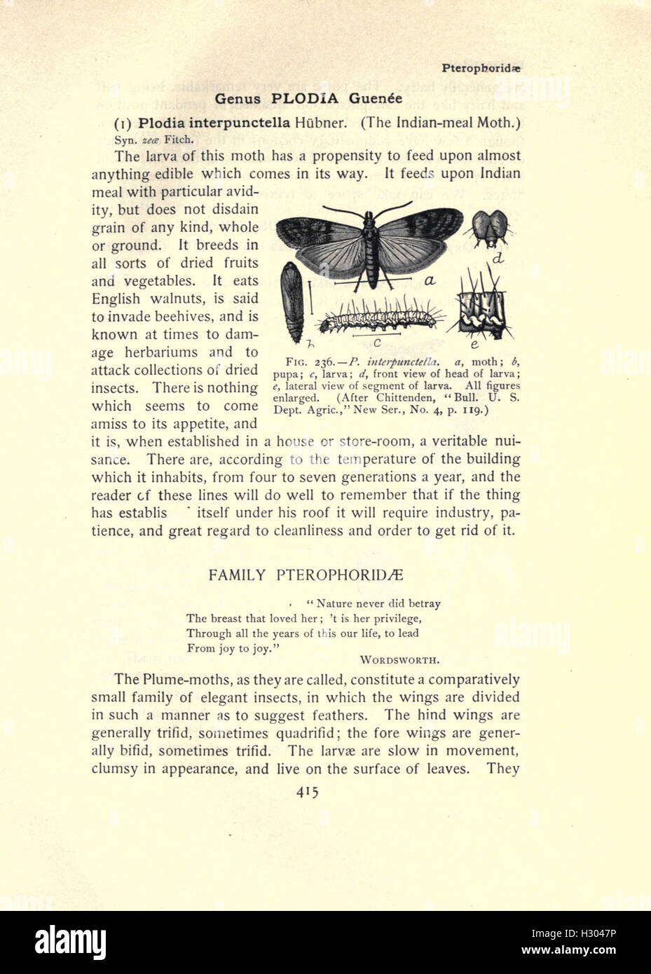 An extensive work on moths, examining various species, their habitats ...