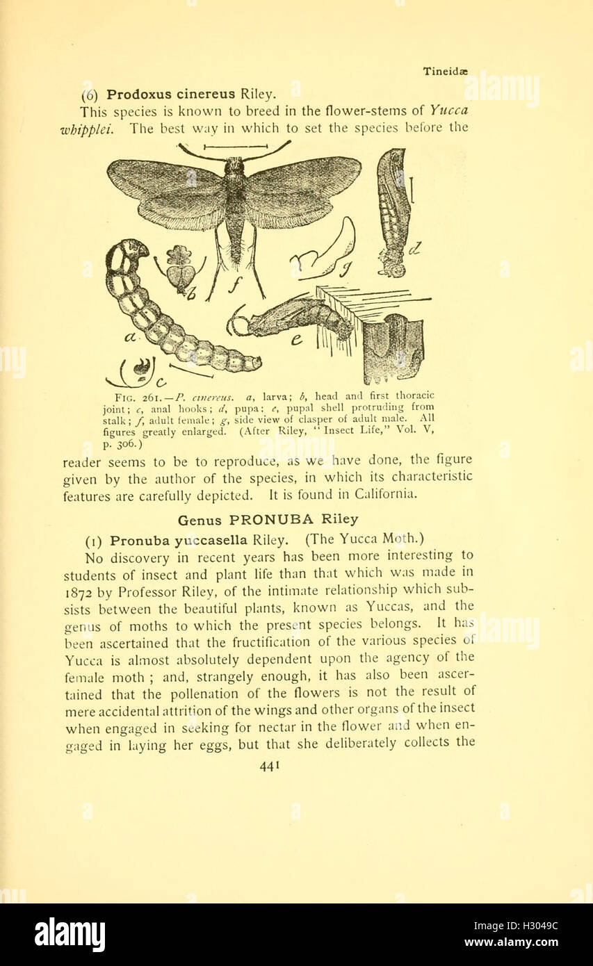 This book provides detailed information about various species of moths ...