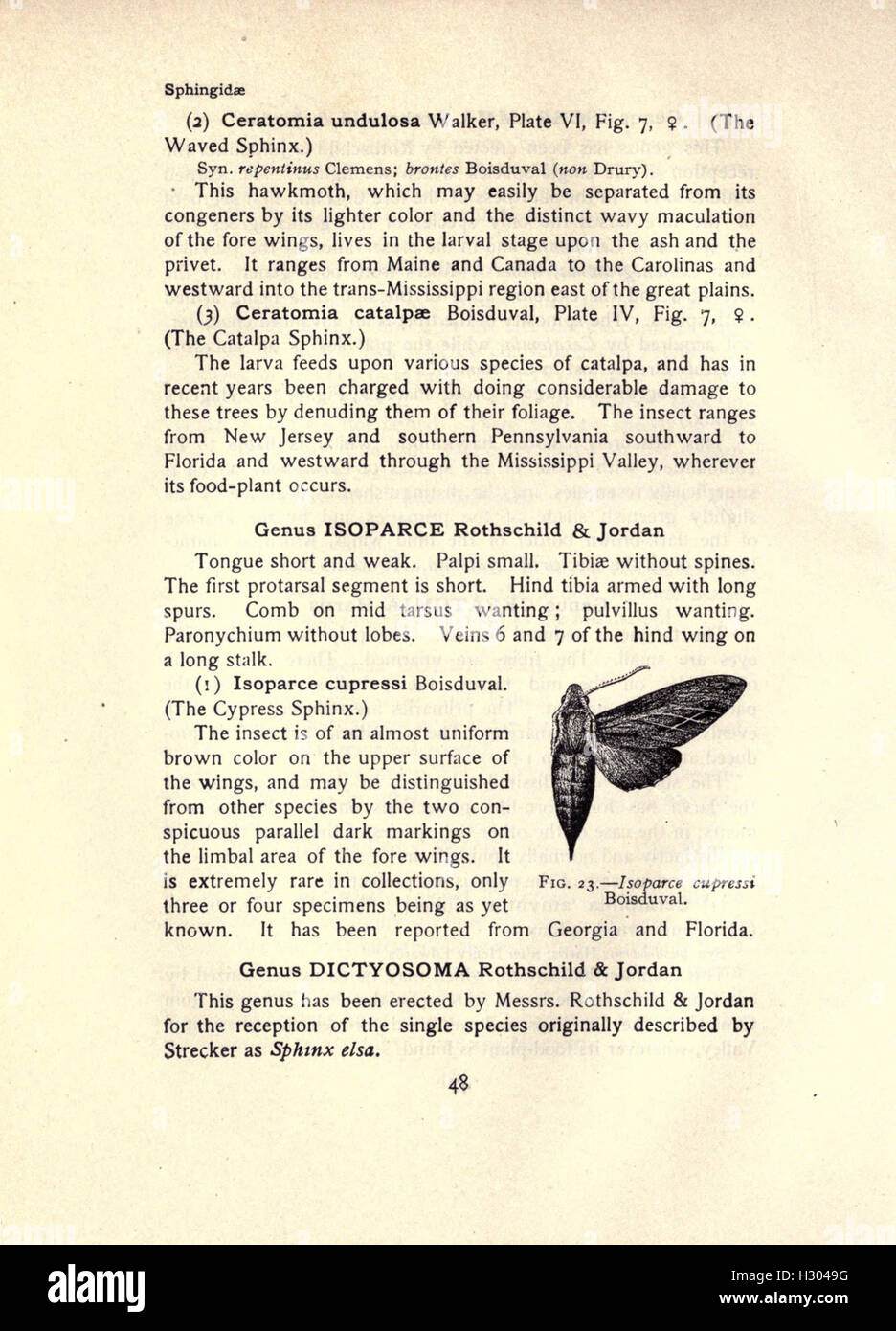 This page from 'The Moth Book' presents detailed information on various ...