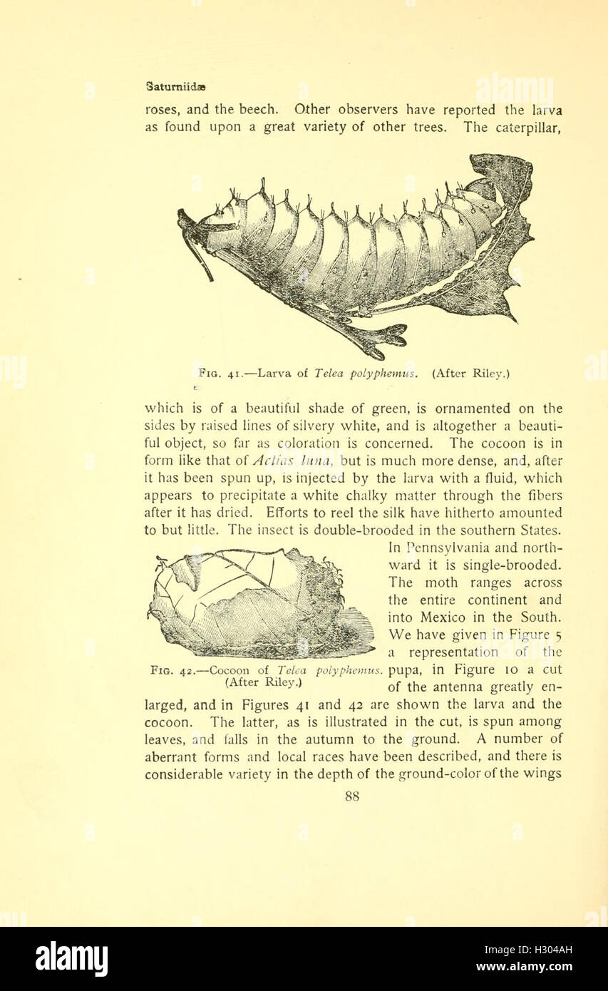 A comprehensive guide to moth species, detailing their identification ...