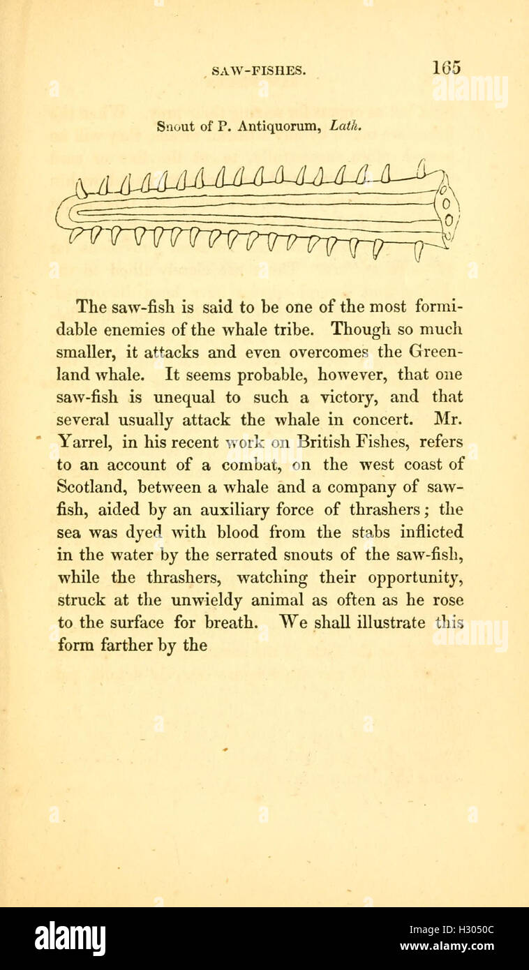 Page 165 of 'The Natural History of Fishes' provides insights into the ...
