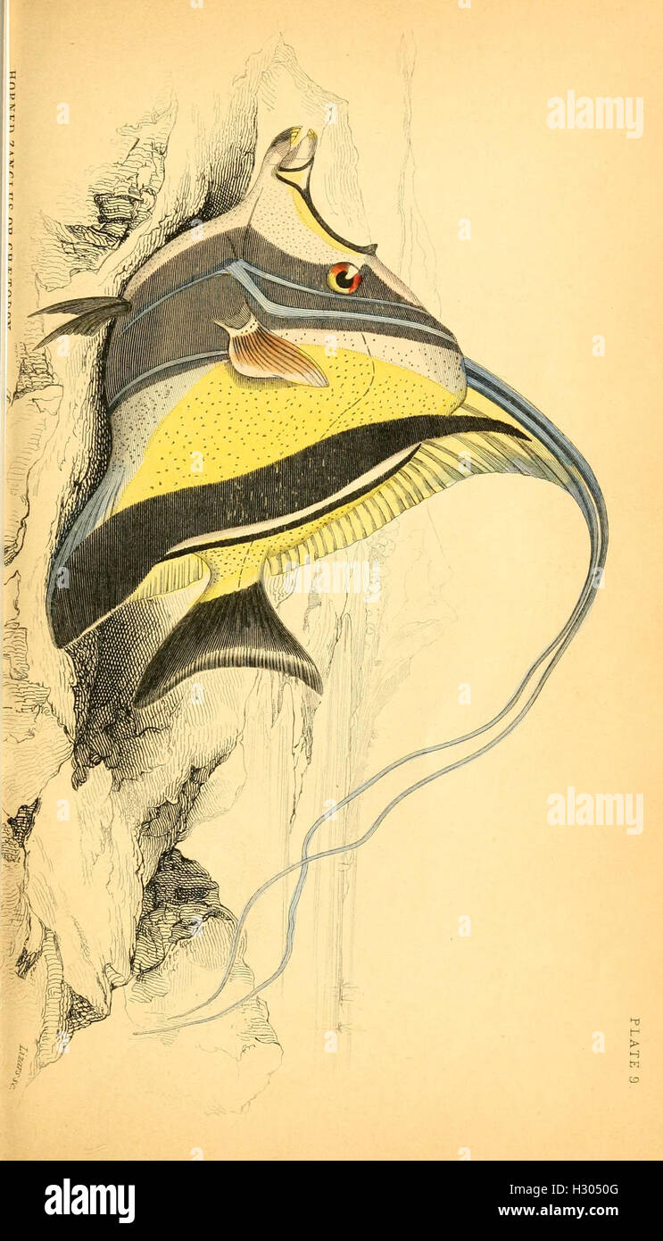 *The Natural History of Fishes* explores the anatomy, classification ...