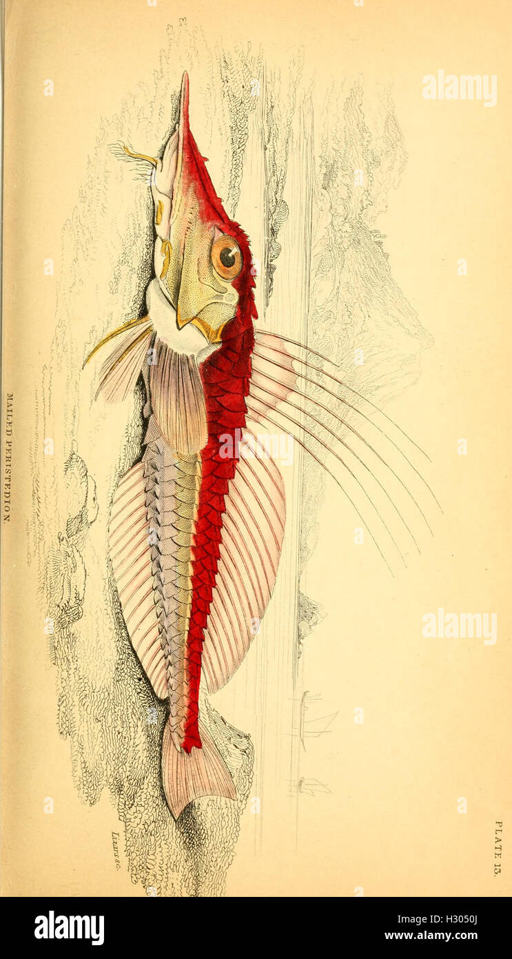 This comprehensive work details the natural history of fish, including ...