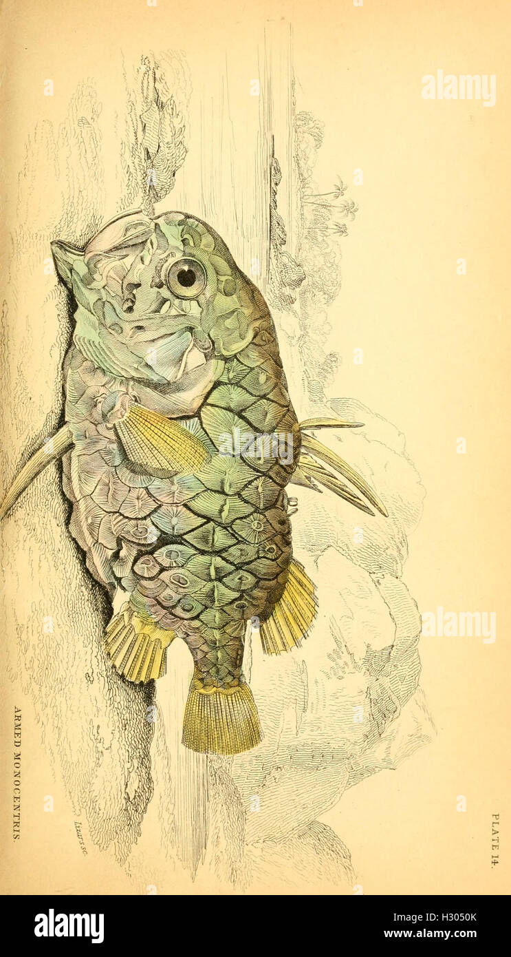 This text provides an overview of fish species, examining their ...