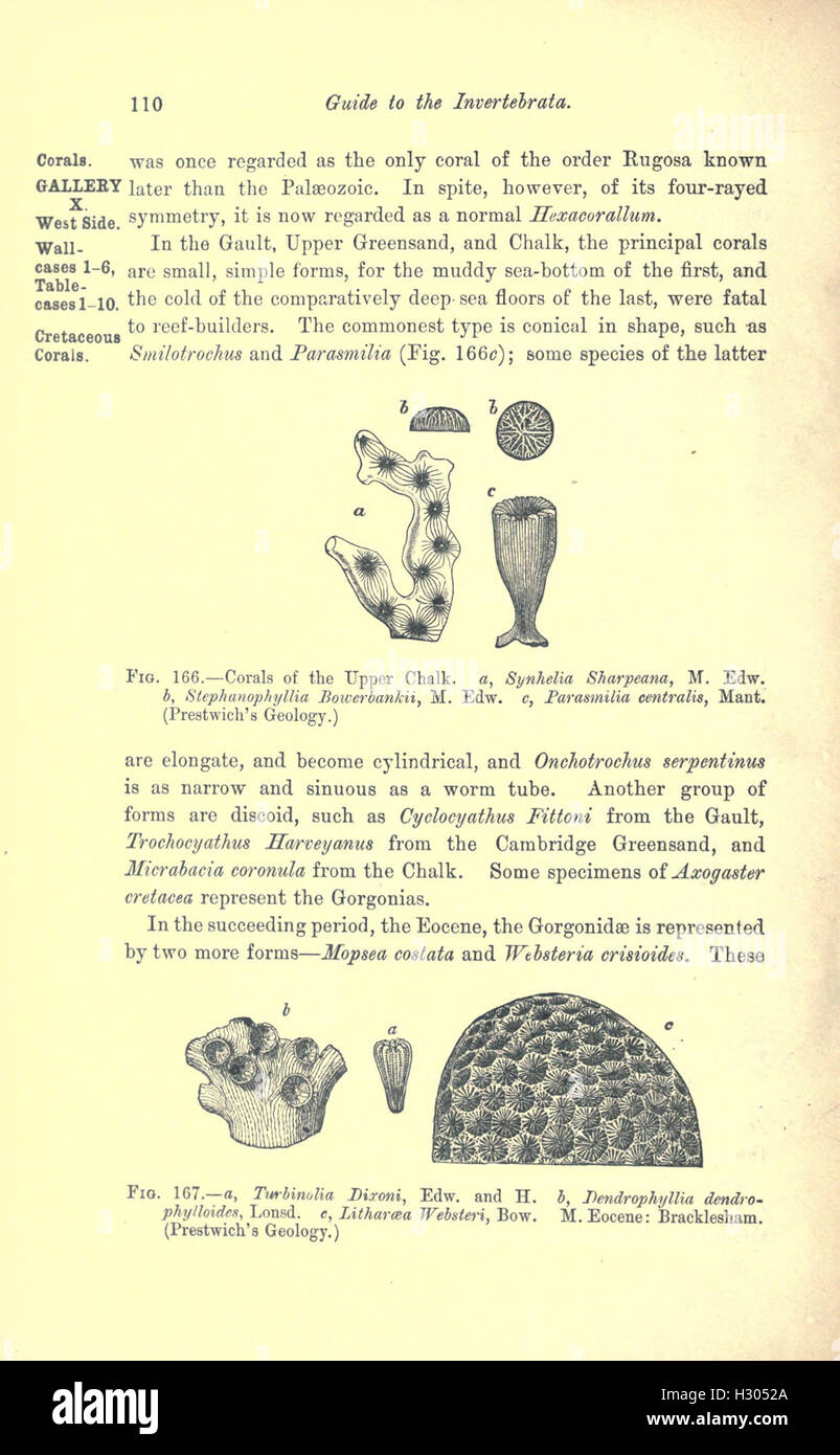 This guide offers a detailed examination of fossil invertebrates and ...