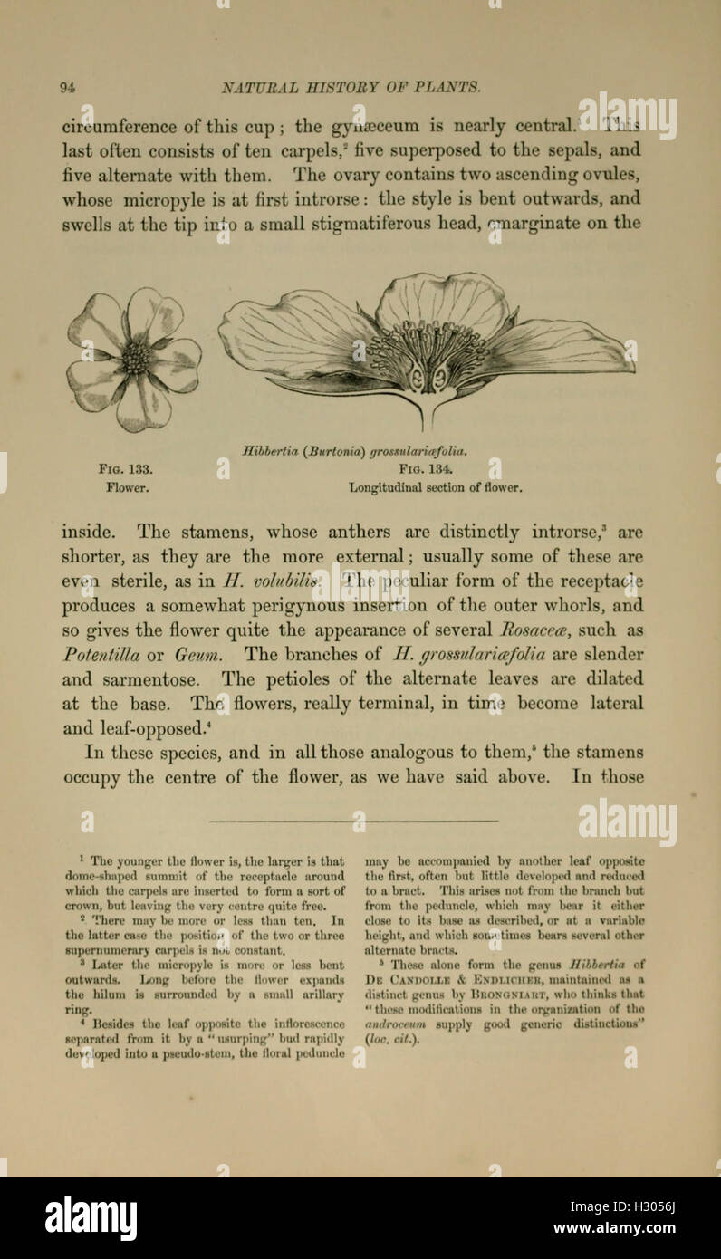 An exploration of plant species and their ecological roles, detailing ...