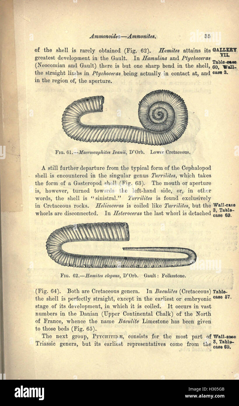 A reference guide to fossilized invertebrates and plants housed in the ...