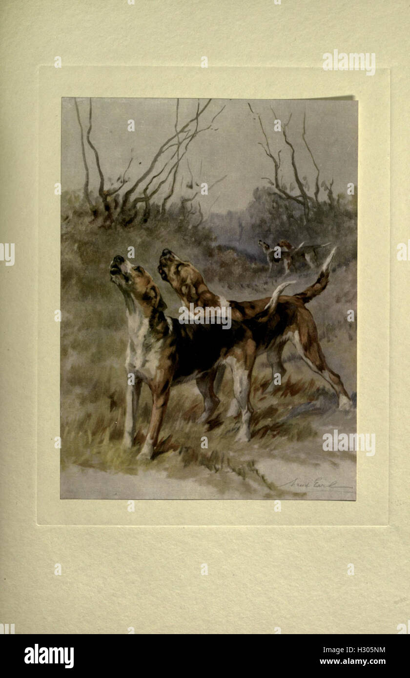 This image depicts a powerful scene featuring the dog, illustrating the ...