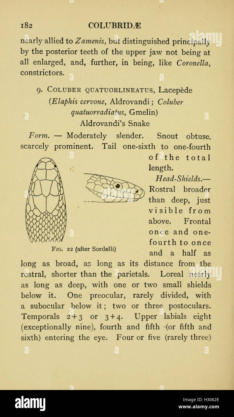 'The Snakes of Europe' provides a detailed study of the snake species ...