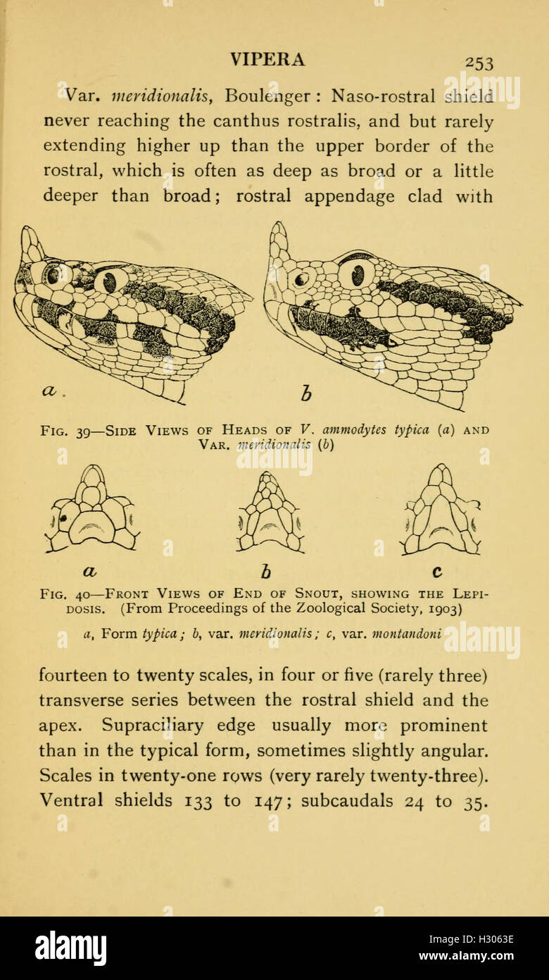 A comprehensive guide to the snakes of Europe, including species ...
