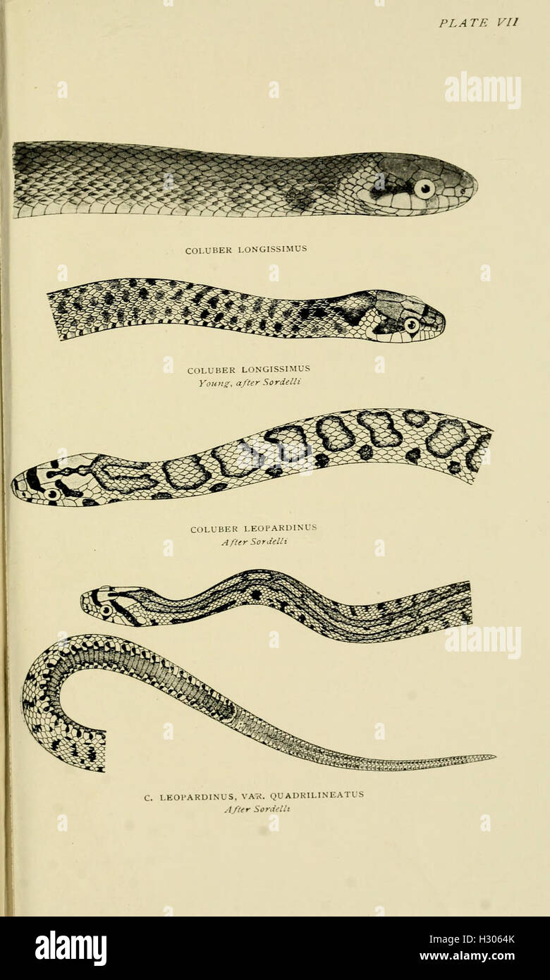 This work focuses on the identification, distribution, and ecological ...