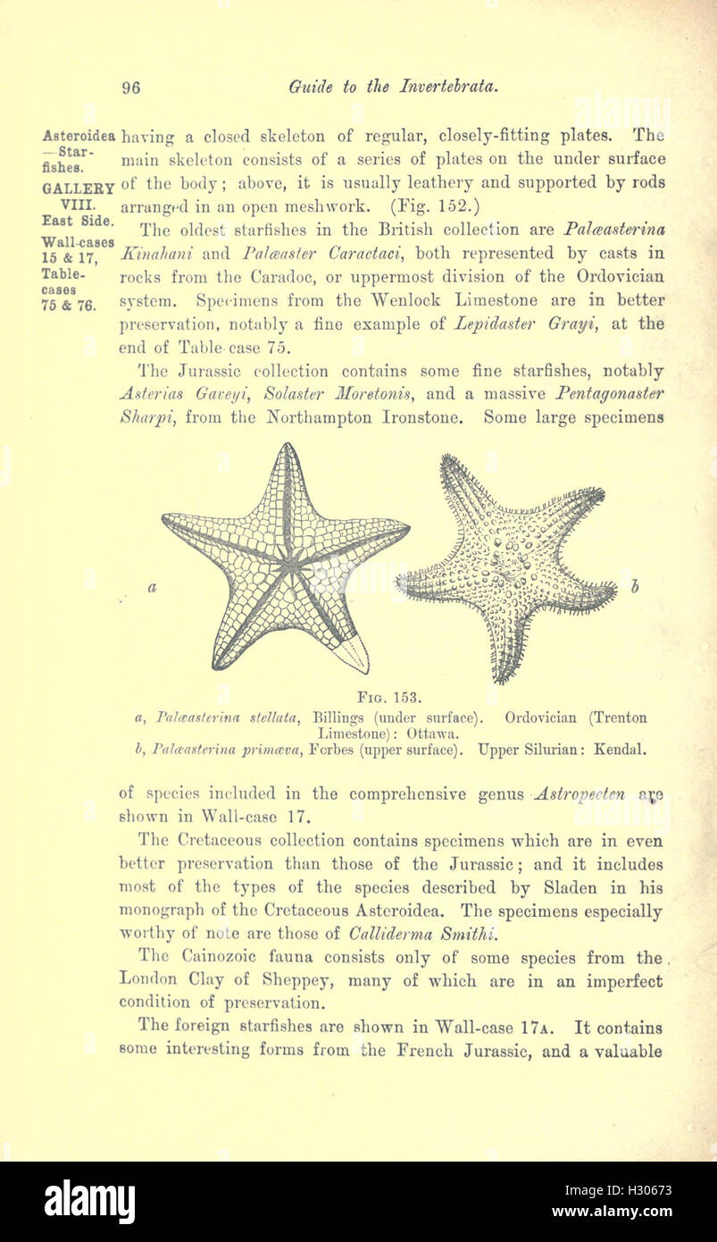 This guide details the fossilized invertebrates and plant specimens ...