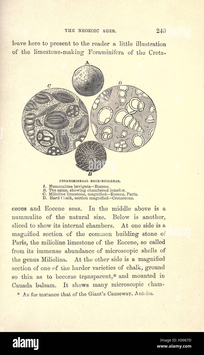 This work discusses the relationship between Earth’s history and ...