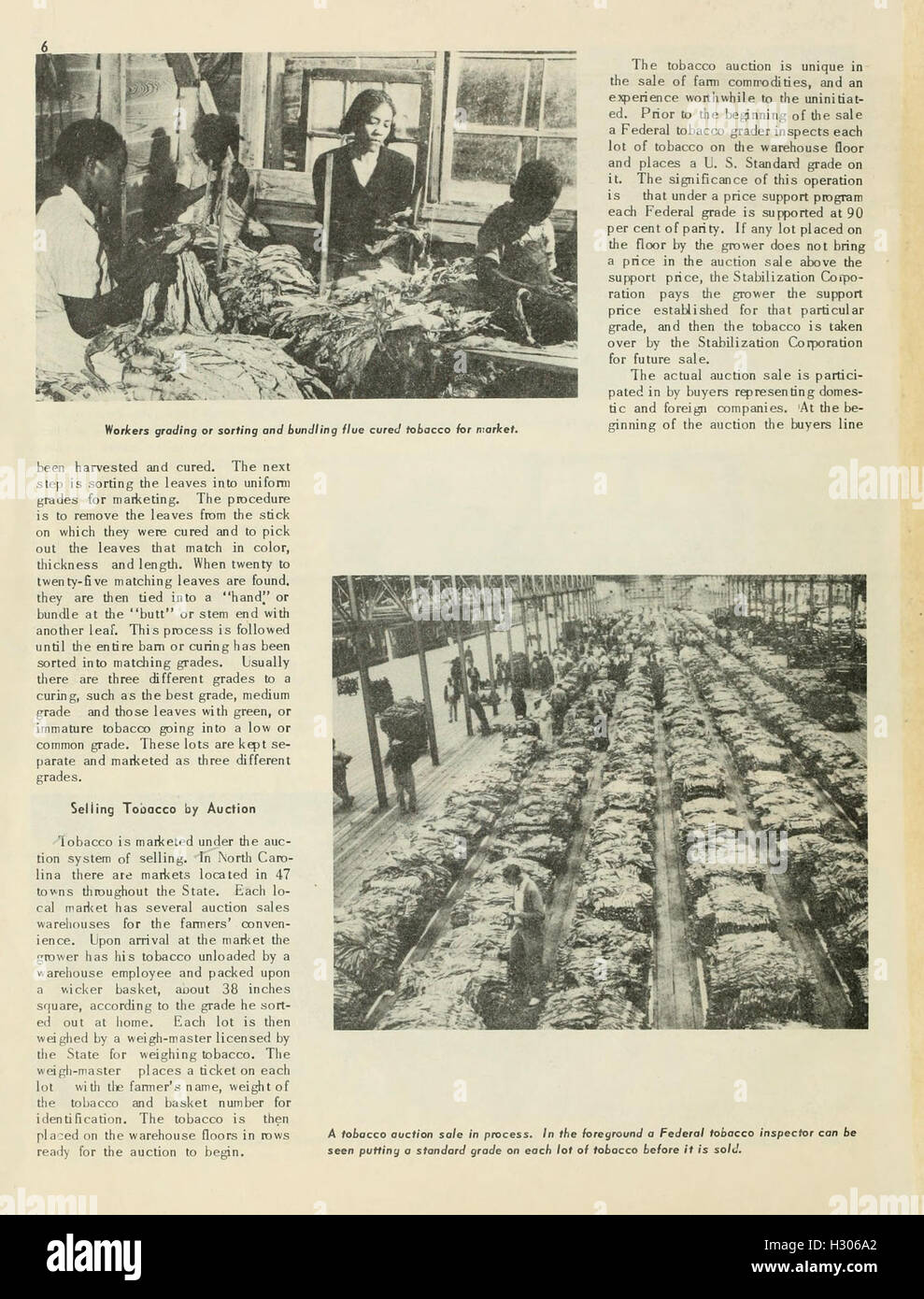 A historical overview of tobacco, exploring its cultural and economic ...