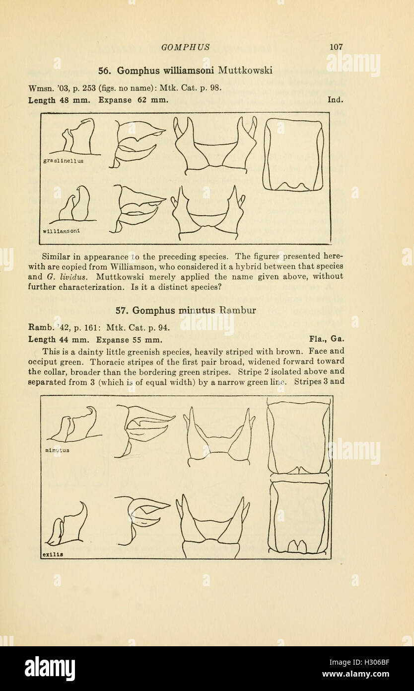 This handbook offers a detailed overview of North American dragonfly ...