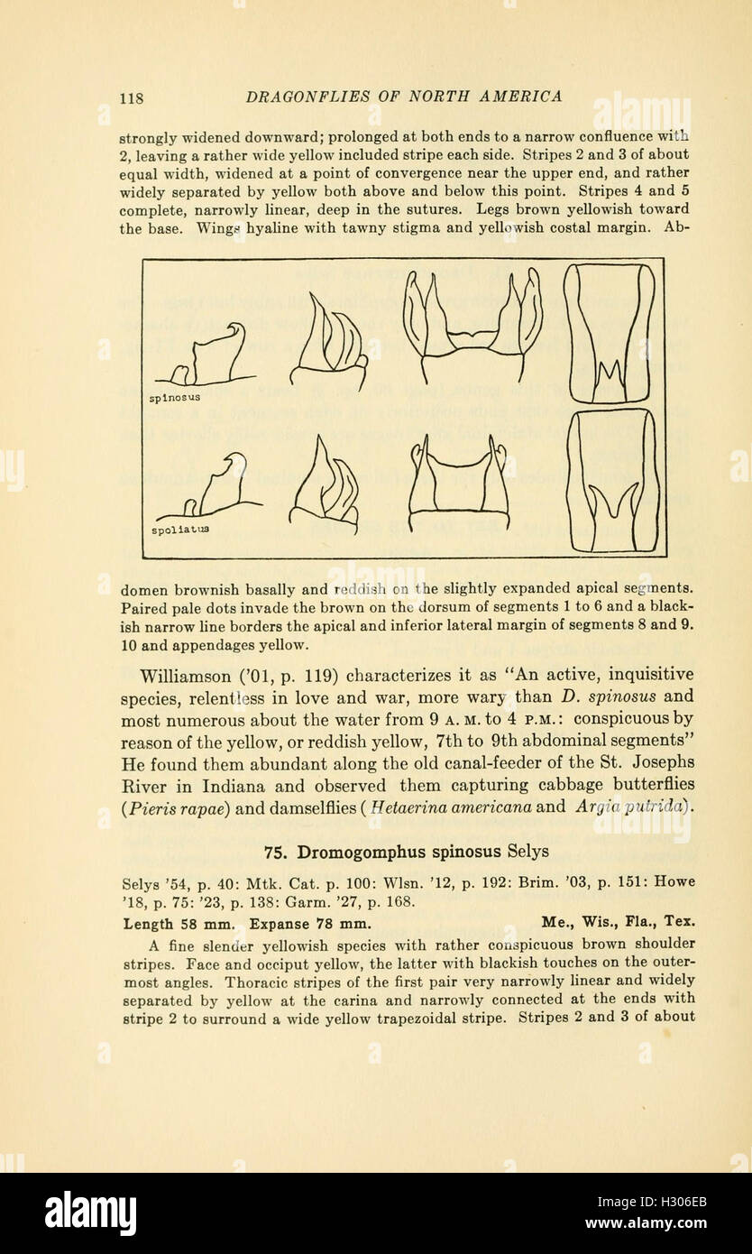 A comprehensive guide to the dragonfly species of North America ...