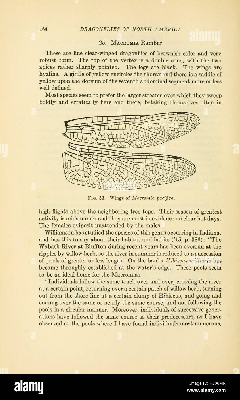 A comprehensive guide to North American dragonflies, detailing their ...