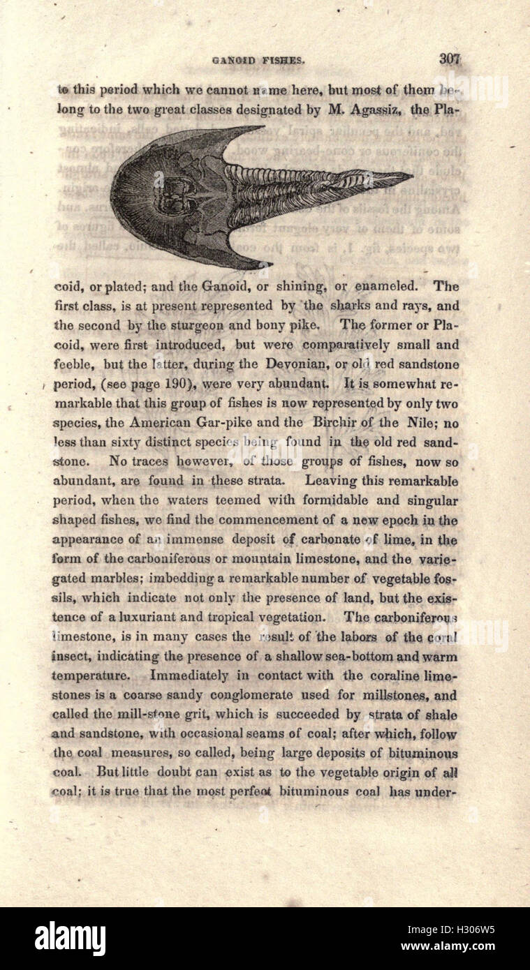 A beginner's guide to astronomy and geology, focusing on foundational ...