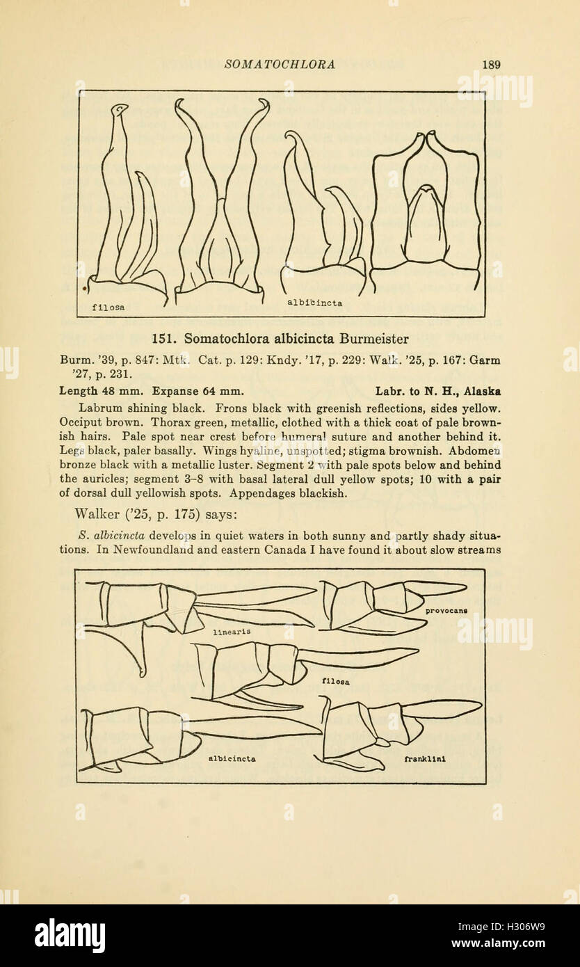 This handbook provides a comprehensive guide to the identification and ...