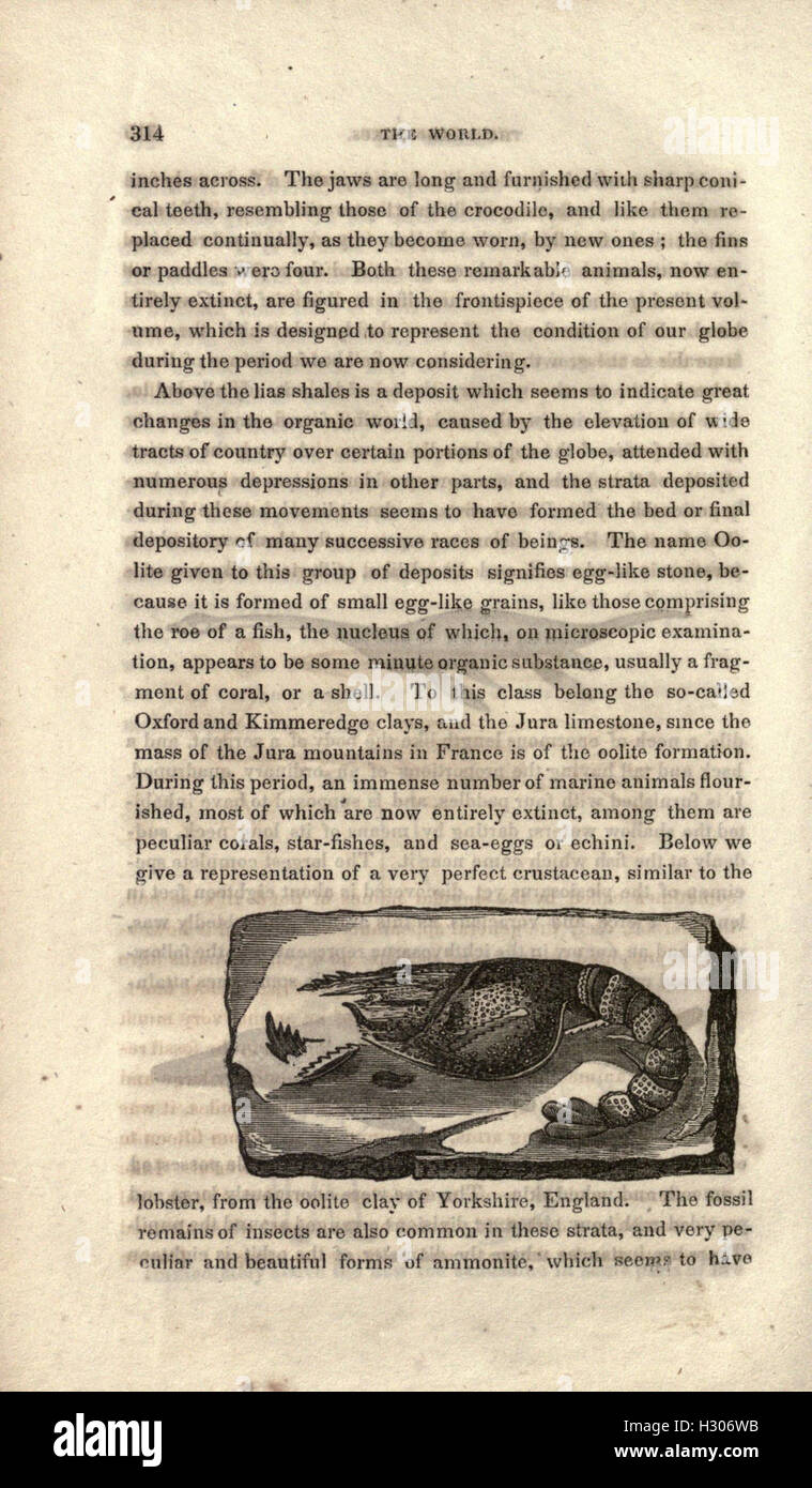 An introductory guide to astronomy and geology, offering basic lessons ...