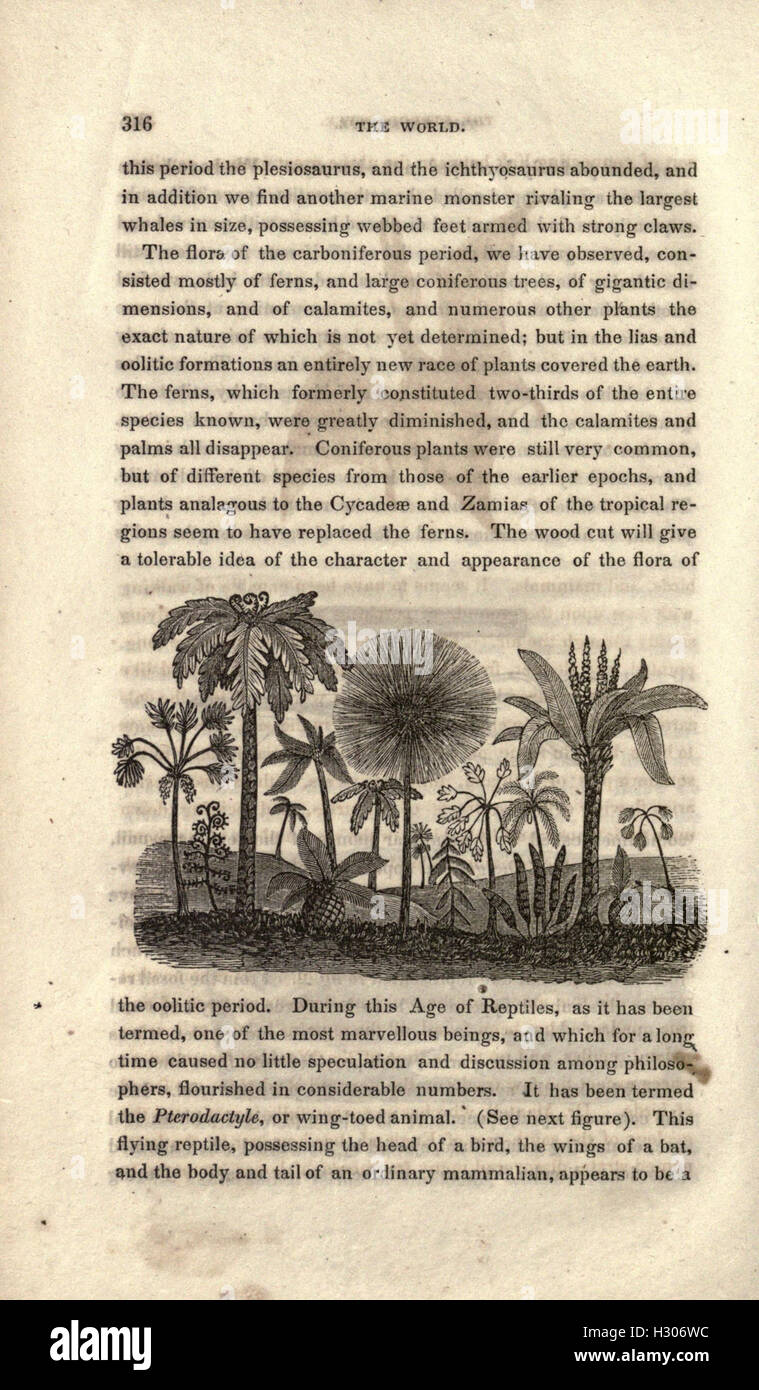 This work introduces fundamental concepts in astronomy and geology ...