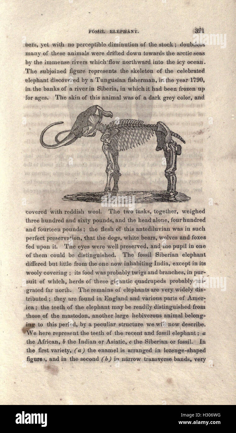 This educational text introduces basic concepts in astronomy and ...