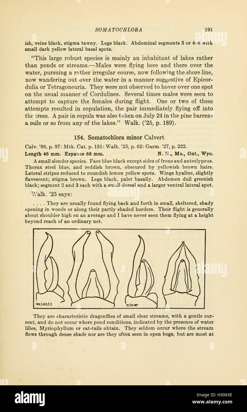 This handbook provides a comprehensive guide to the dragonflies of ...