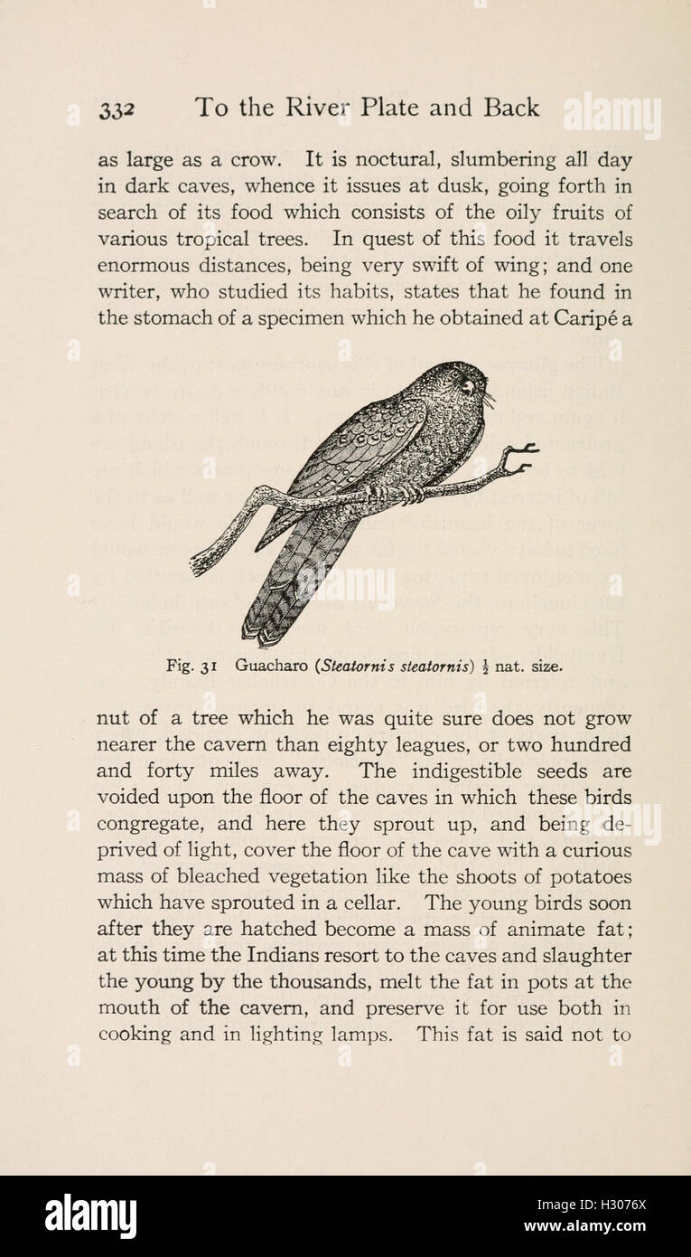 This account details the travels to the River Plate region, focusing on ...